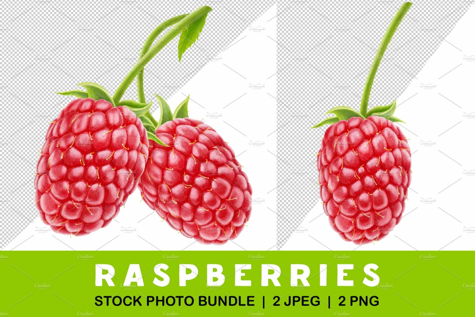 Raspberry with long stem – MasterBundles