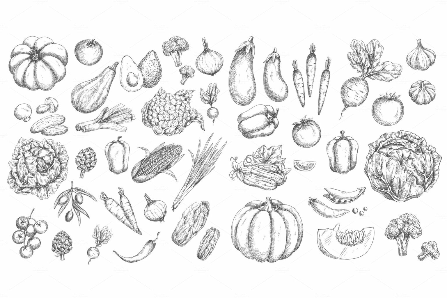 Vegetables vector sketches – MasterBundles