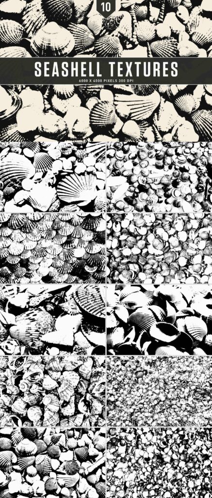 Seashell Textures – MasterBundles
