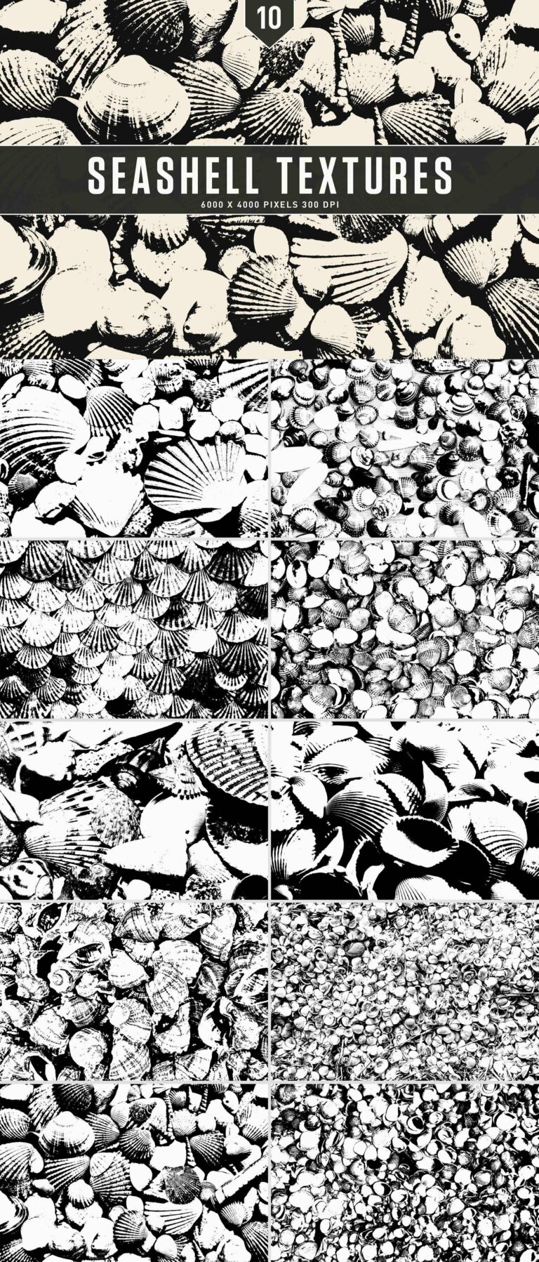 Seashell Textures – MasterBundles