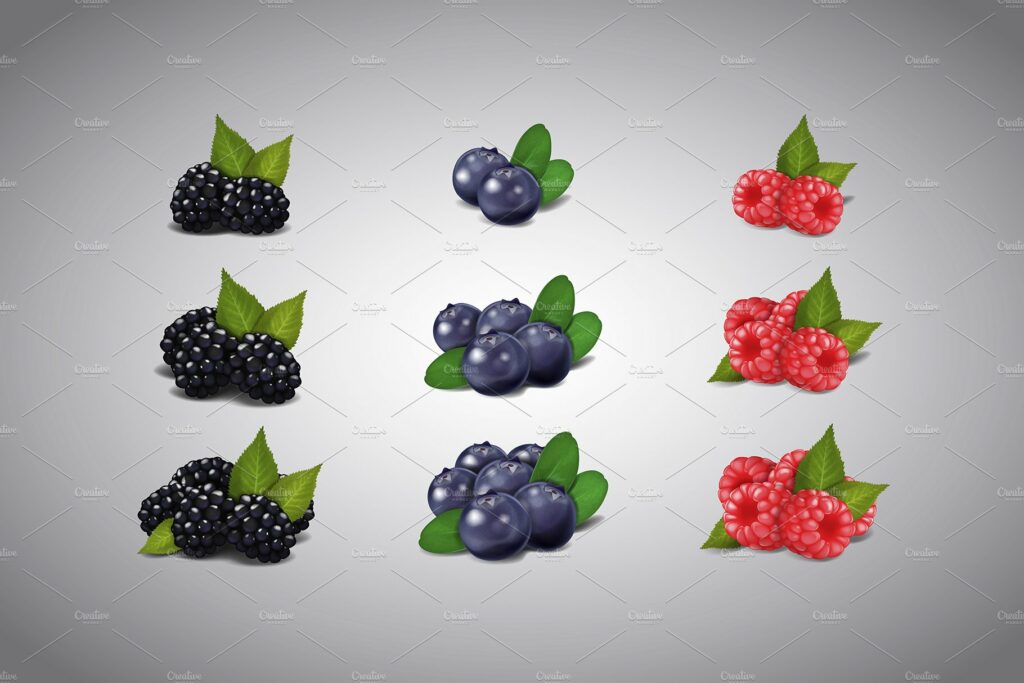 Realistic Berry labels set – MasterBundles