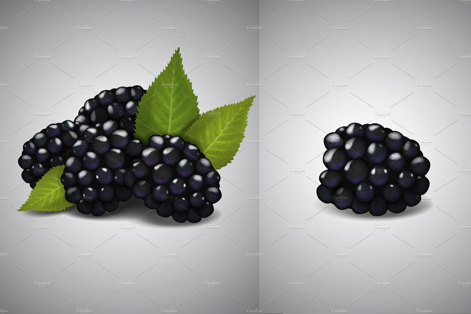 Realistic Berry labels set – MasterBundles