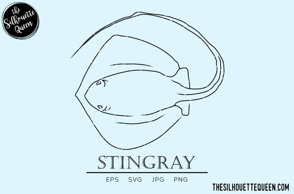Stingray vector cut files – MasterBundles