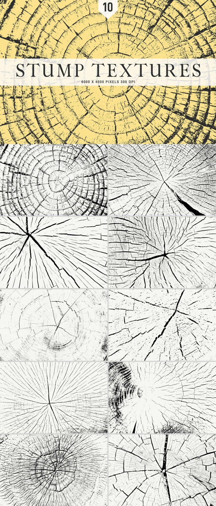 Stump Textures – MasterBundles