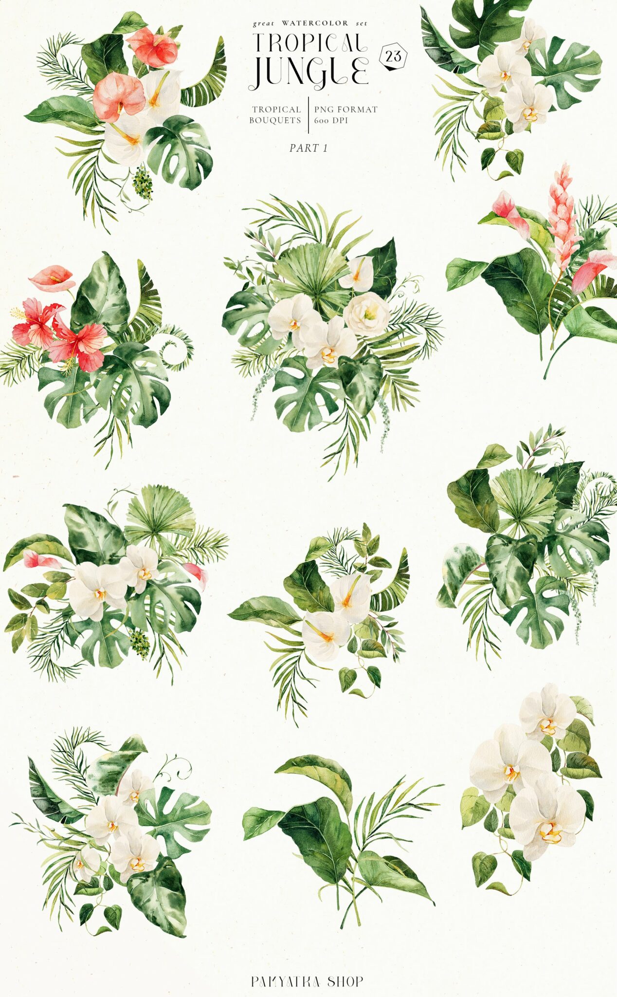 Tropical jungle - watercolor set – MasterBundles