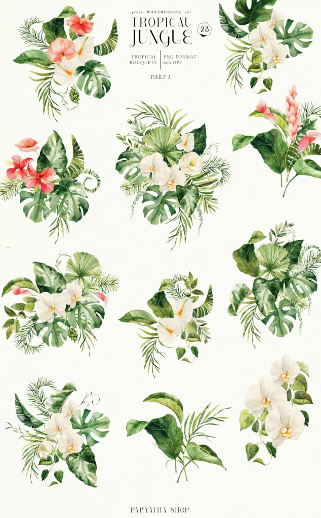 Tropical jungle - watercolor set – MasterBundles