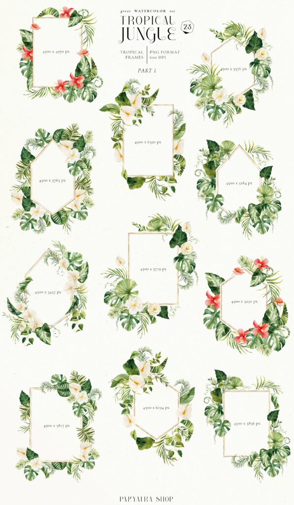 Tropical jungle - watercolor set – MasterBundles