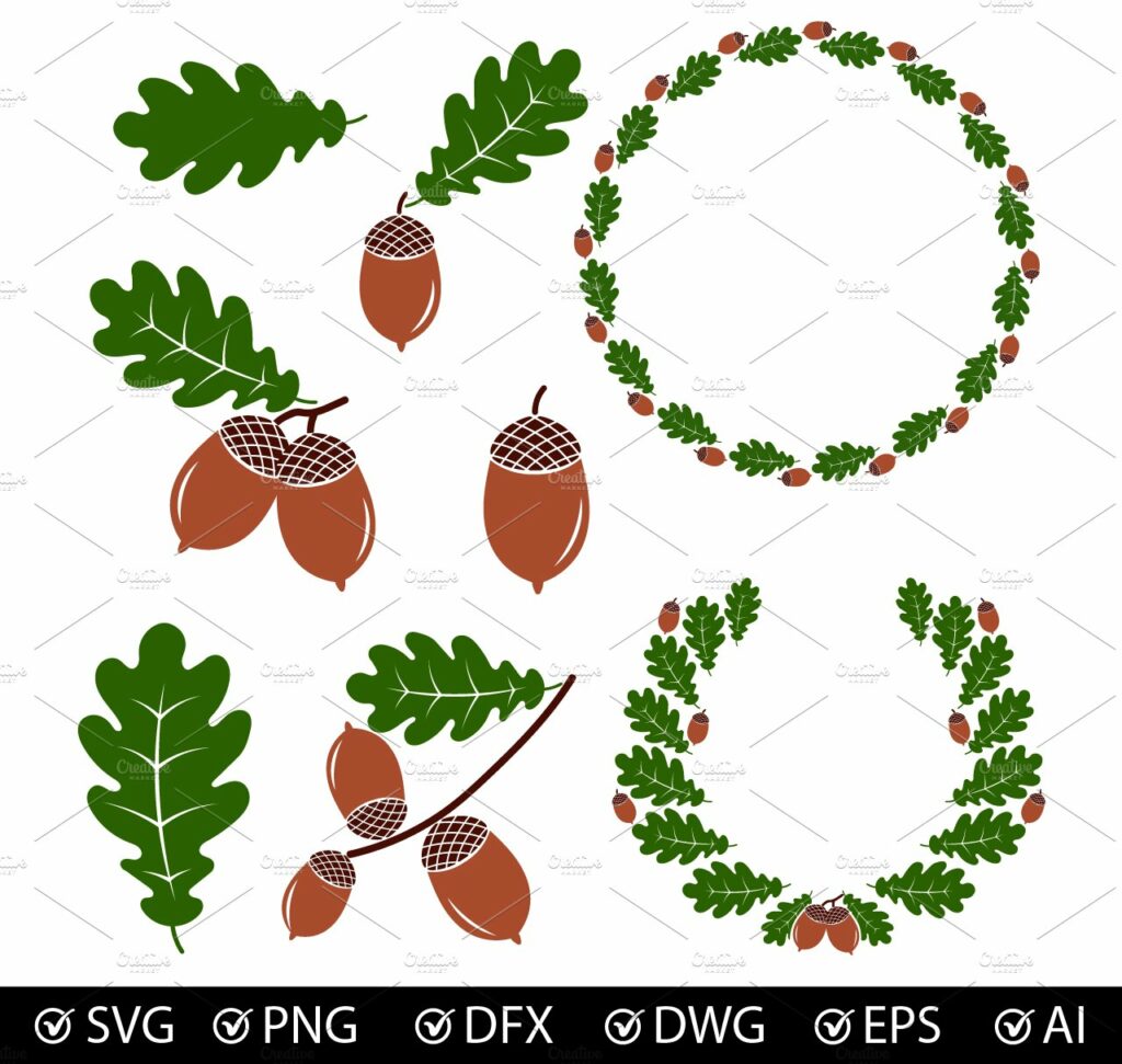 Autumn acorn. Leaves. Fall – MasterBundles