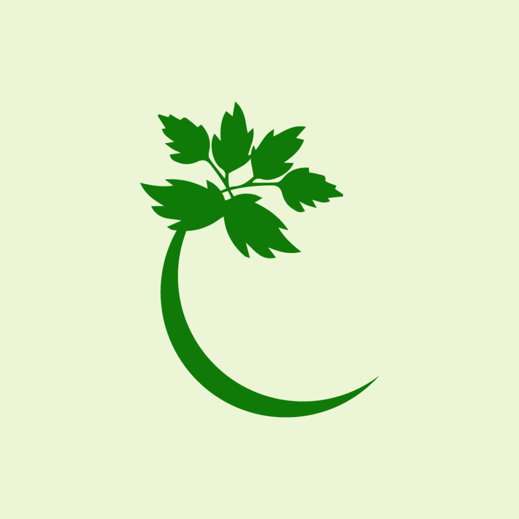 Free branding logo - MasterBundles