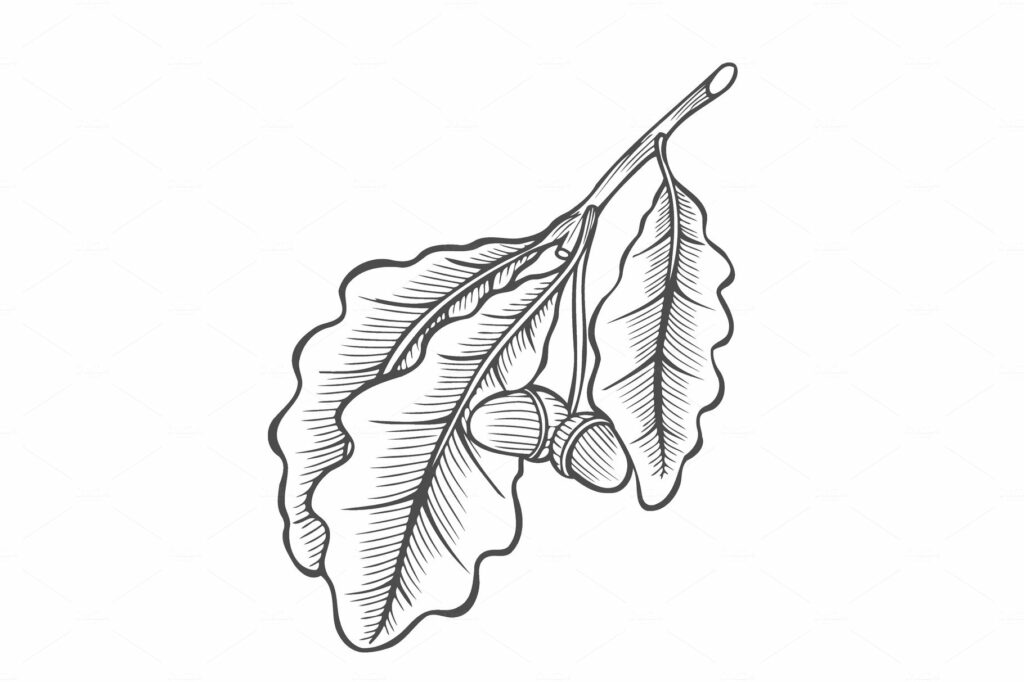 Vector engraving illustration – MasterBundles