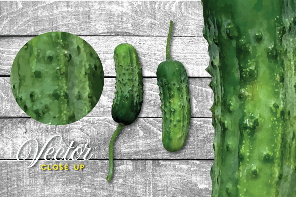 Pickle Vector - Botanic Specimens – MasterBundles