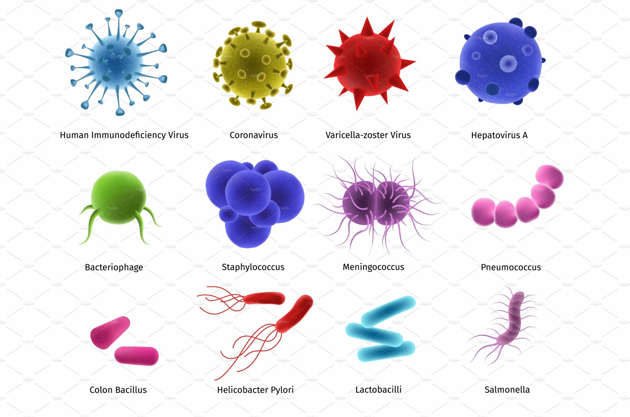 Virus microbe, isolated on white – MasterBundles