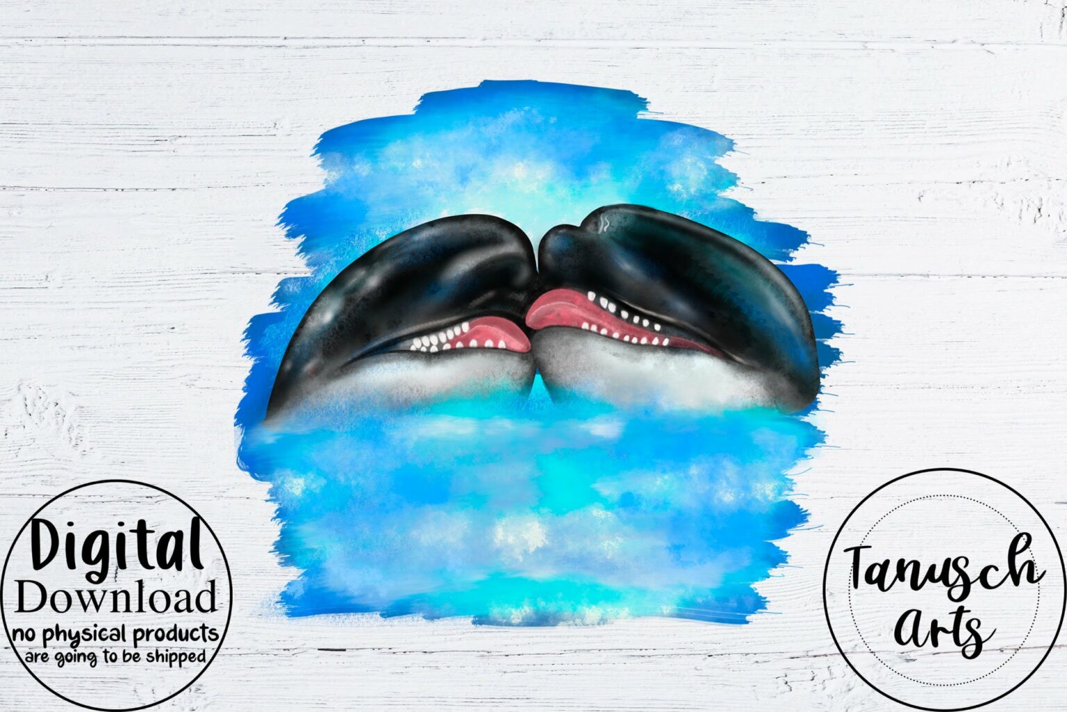 ORCA Clipart Lovely Killer Whale – MasterBundles