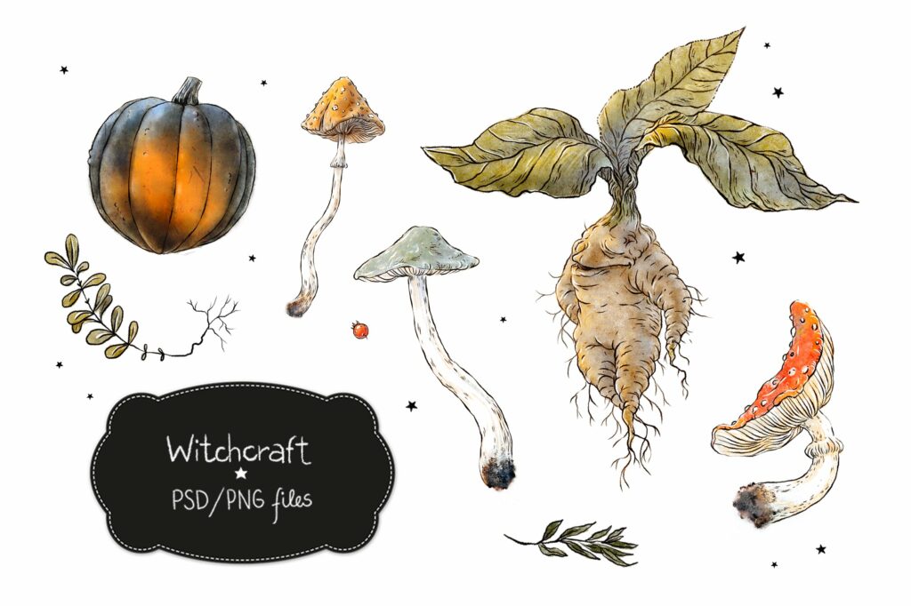 Witchcraft set – MasterBundles