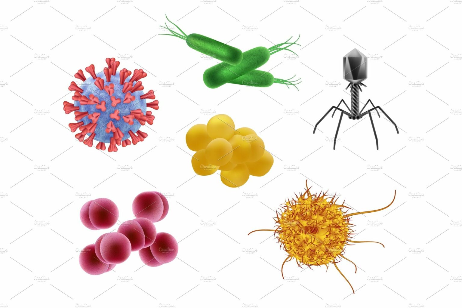 Microbes realistic. Biological cells – MasterBundles