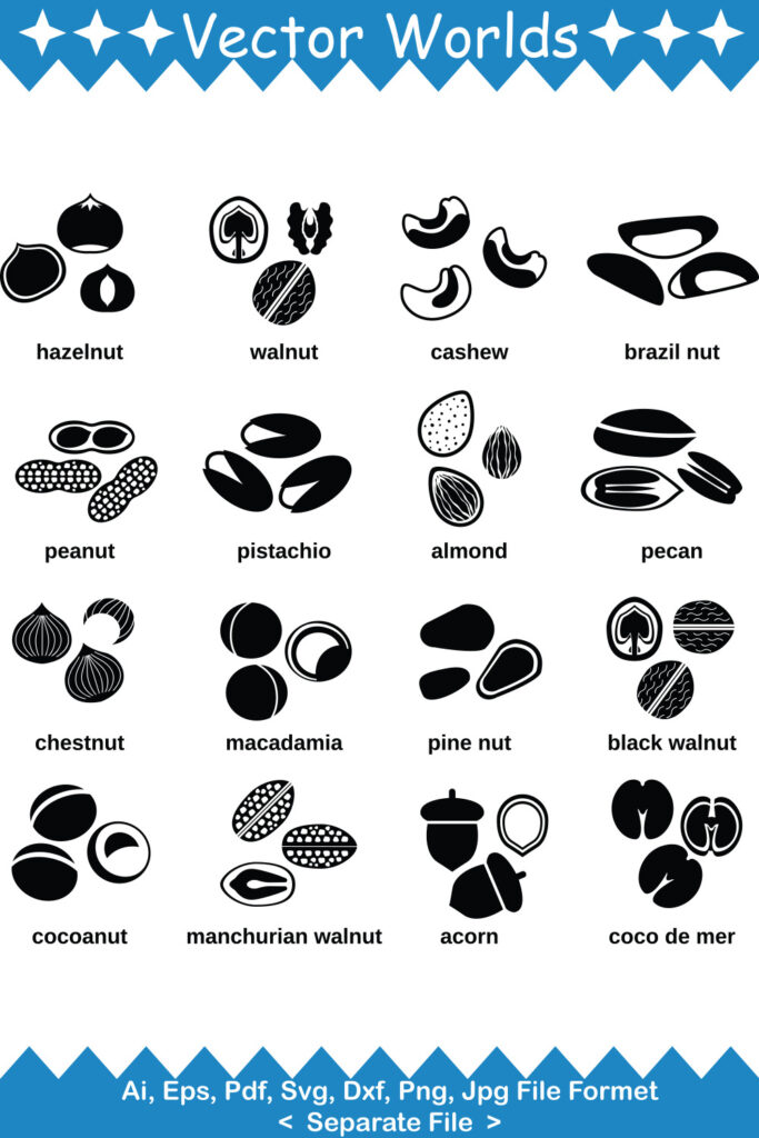 Nut SVG Vector Design. - MasterBundles