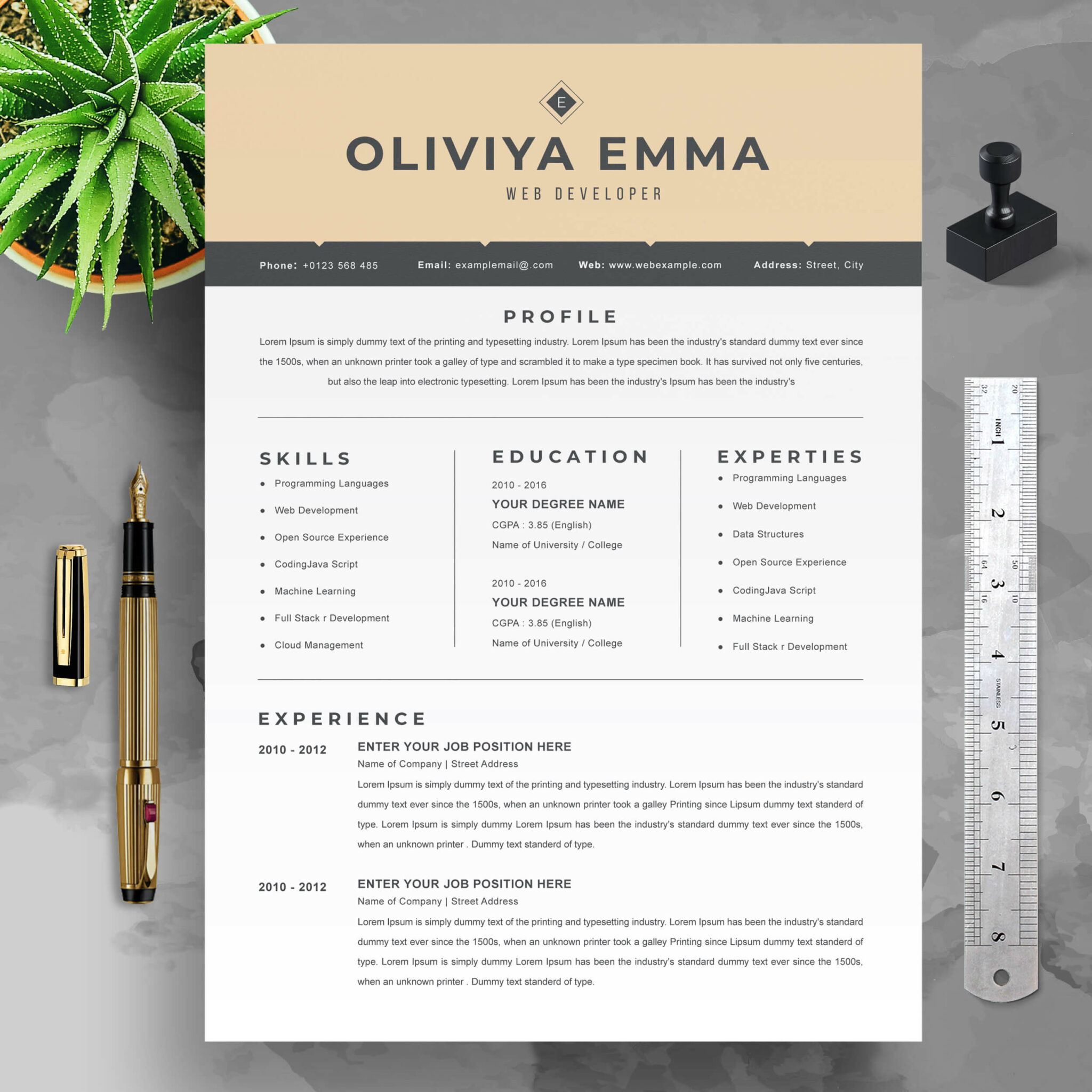 Web Developer Professional Resume Template | Classic Resume Template ...