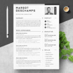 Computer Programmer Resume Template | Creative Professional Resume ...