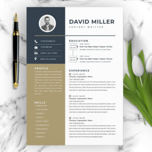 Content Writer Creative Professional Resume Template | CV Template 2023 ...