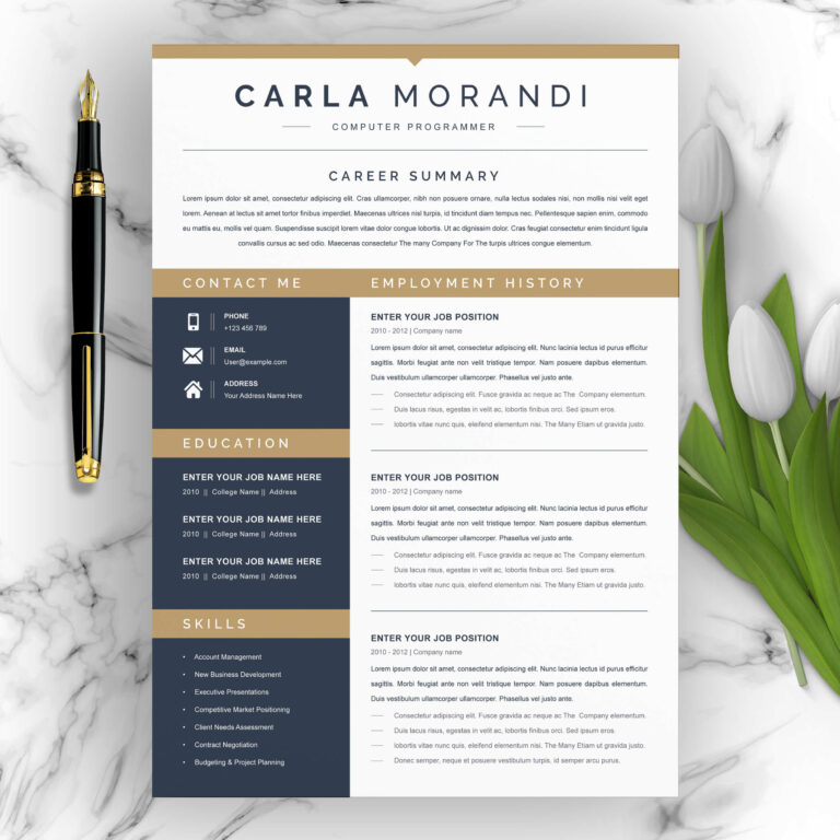 Computer Programmer Resume Template | Resume Template Word Format ...