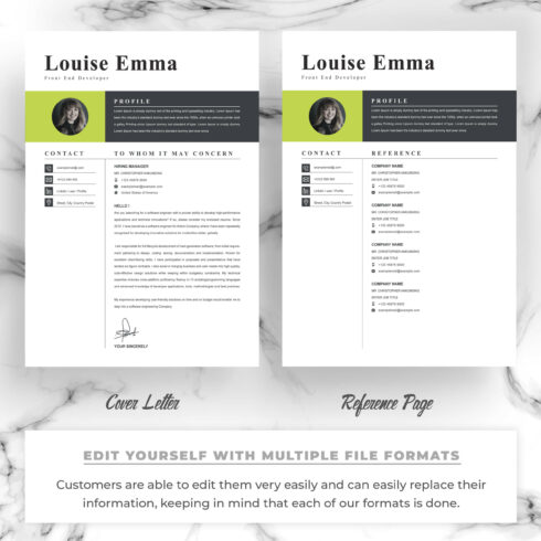 Front End Developer Resume Template | Professional Resume Template For ...
