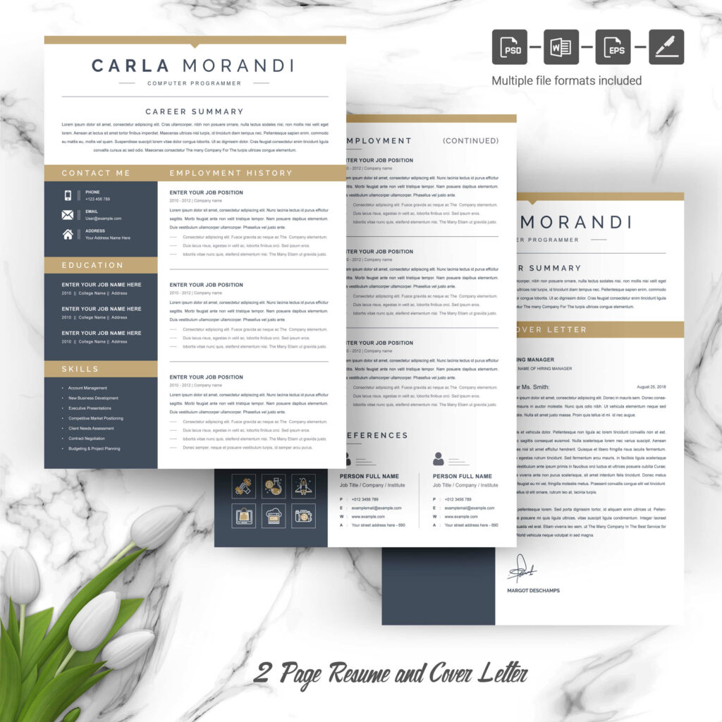 Computer Programmer Resume Template | Resume Template Word Format ...