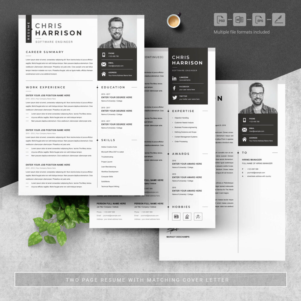 Software Engineer CV Template | Modern Resume Free Template - MasterBundles