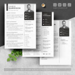 Software Engineer CV Template | Modern Resume Free Template - MasterBundles