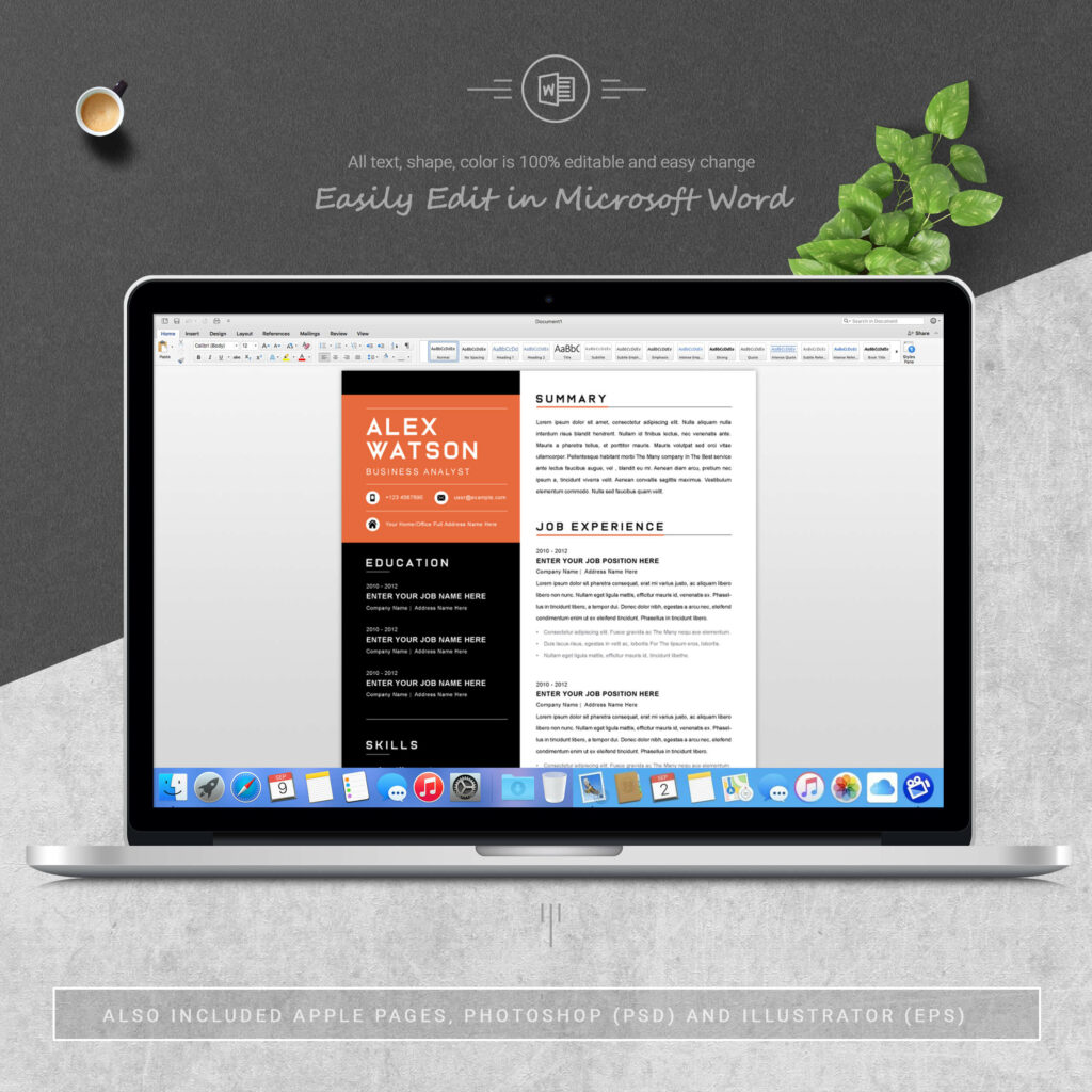 Business Analyst Resume Template | Classic Resume Template - MasterBundles