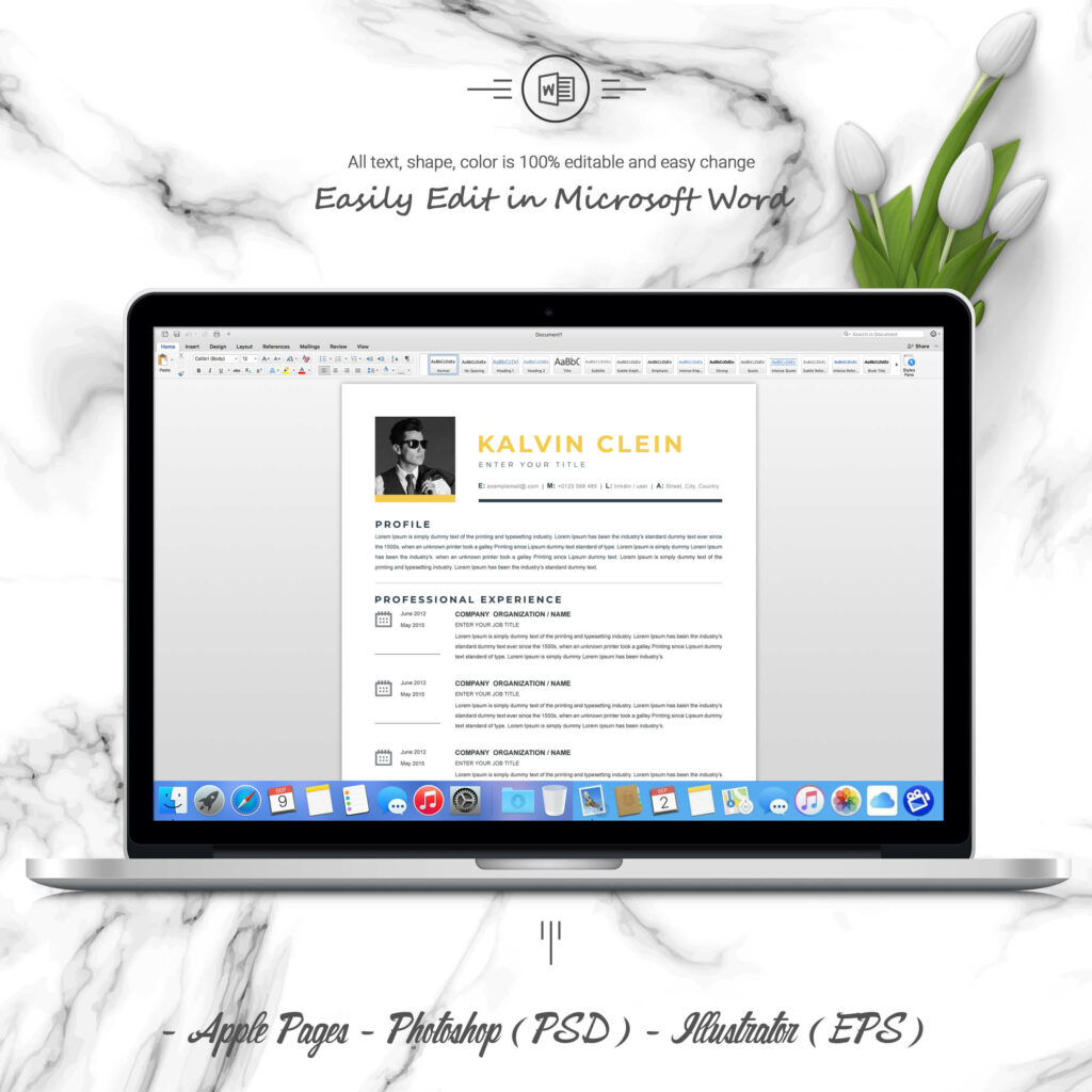 Creative Professional Resume Template | Professional Resume Template ...