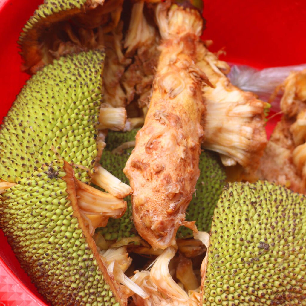 Kathal Photography in Bangladesh - MasterBundles