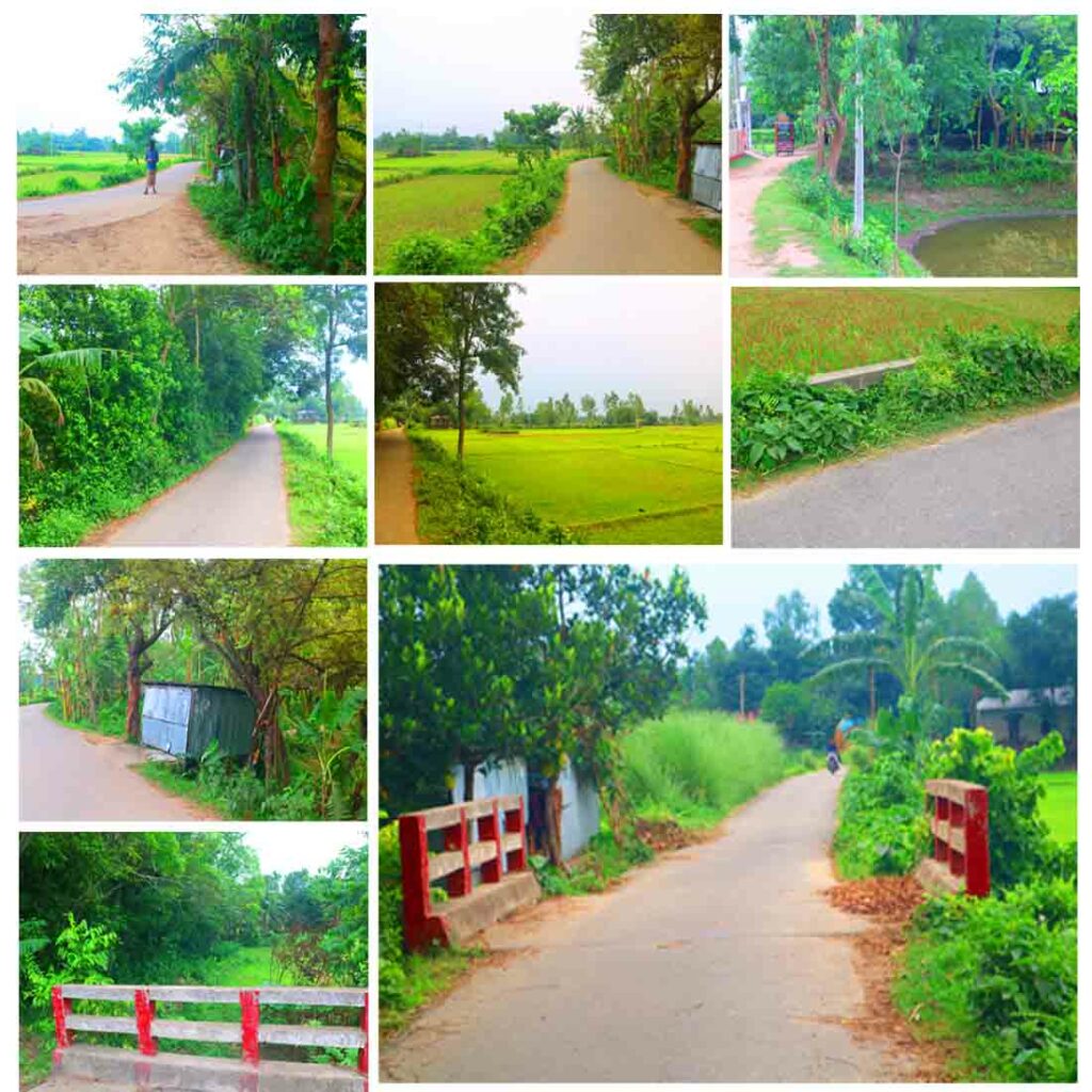 Ghar Tree village people & roads stock photos in Bangladesh - MasterBundles