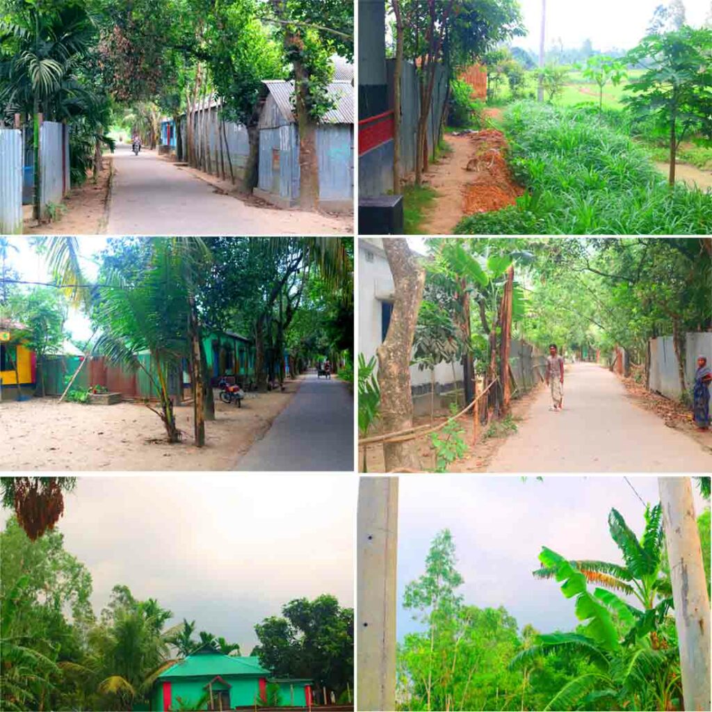 Ghar Tree village people & roads stock photos in Bangladesh - MasterBundles