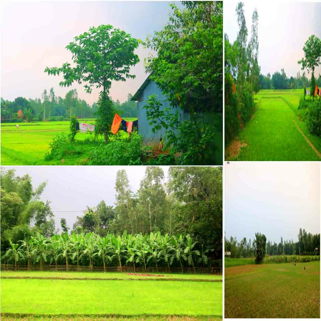 Ghar Tree village people & roads stock photos in Bangladesh - MasterBundles