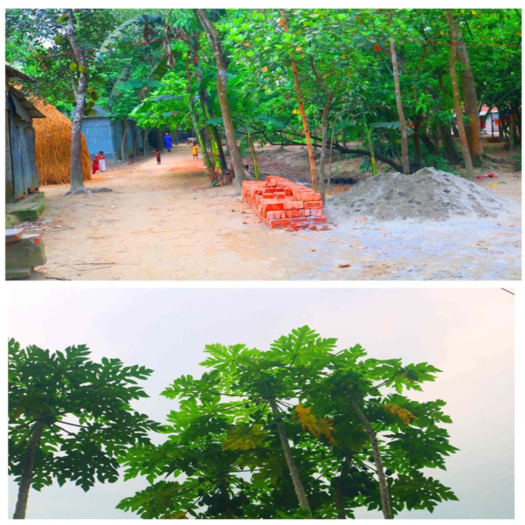 Ghar Tree village people & roads stock photos in Bangladesh - MasterBundles