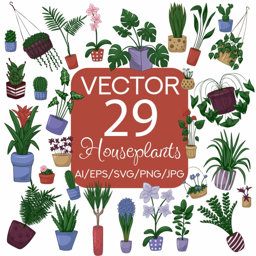 Colorful set of houseplants. - MasterBundles