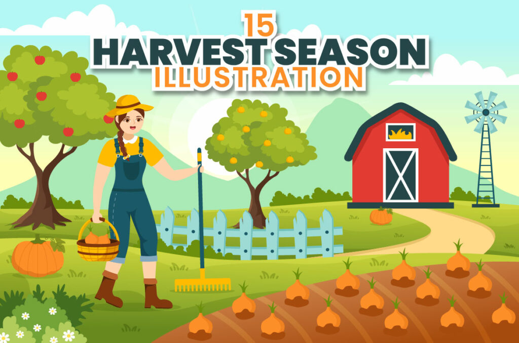 15 Harvest Season Vector Illustration - MasterBundles
