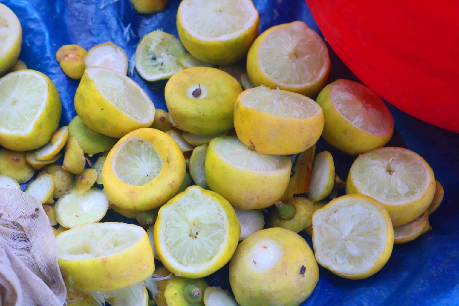 Nimbu Photography in Bangladesh - MasterBundles