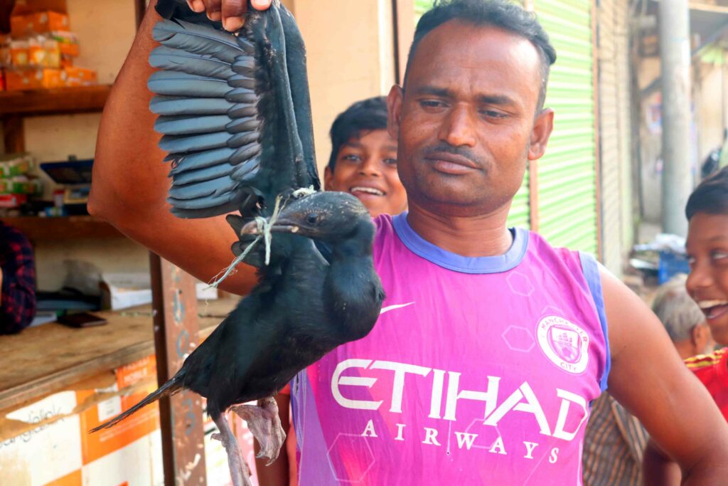 Pakhi Photography in Bangladesh – MasterBundles