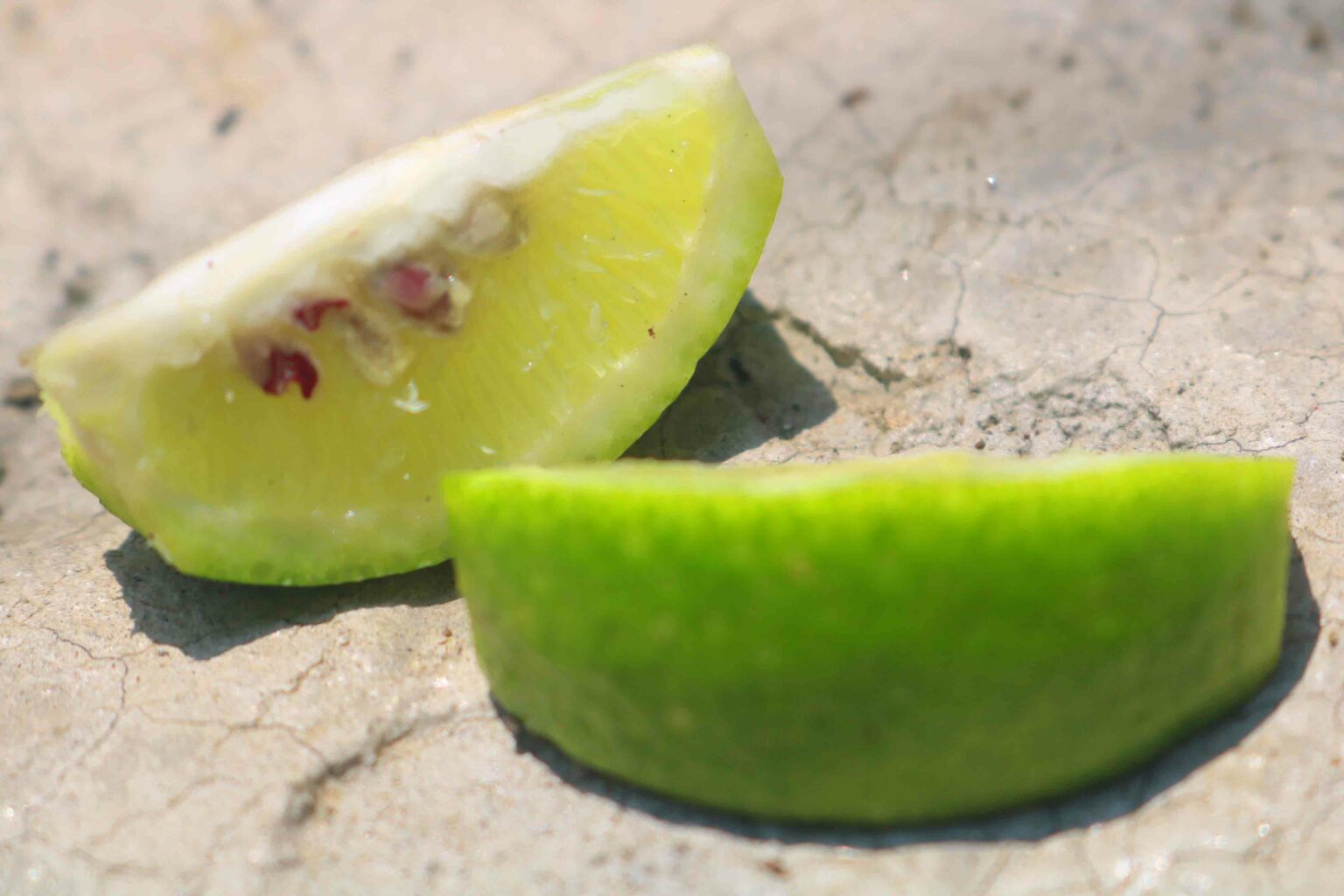 Nimbu Photography in Bangladesh - MasterBundles