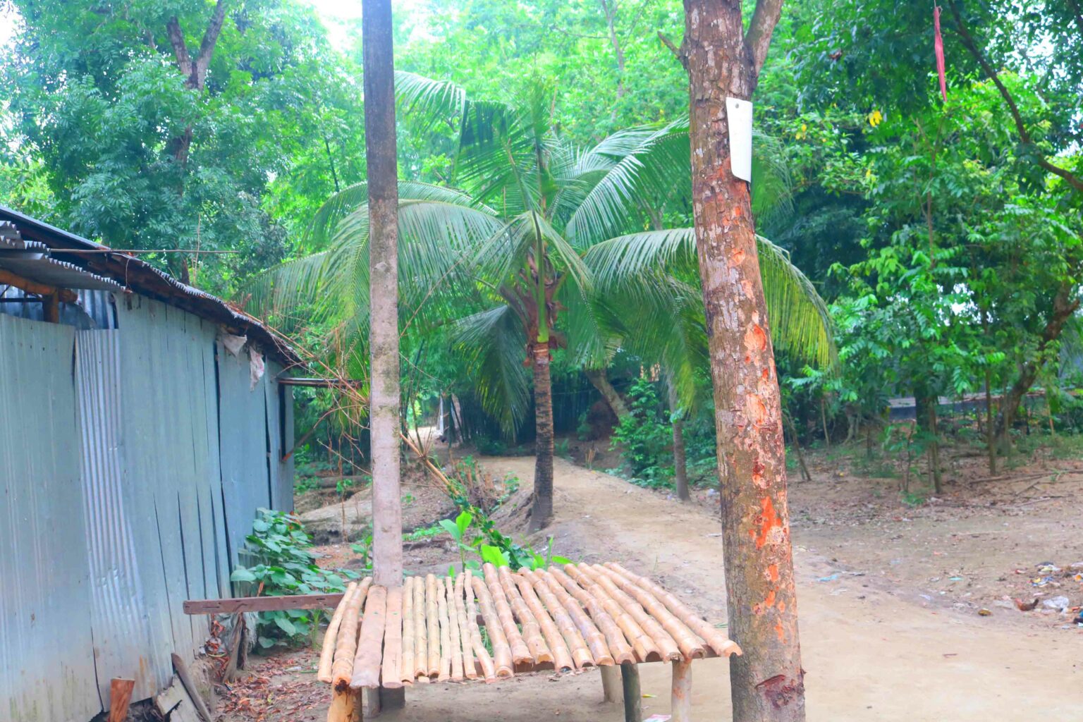 Ghar Tree village people & roads stock photos in Bangladesh - MasterBundles