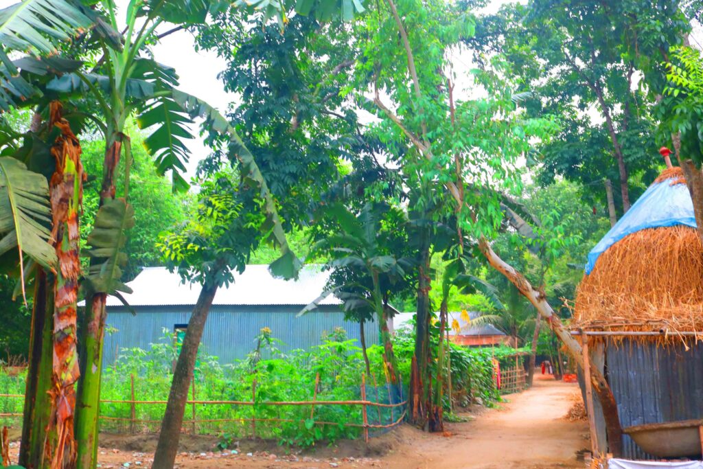 Ghar Tree village people & roads stock photos in Bangladesh - MasterBundles