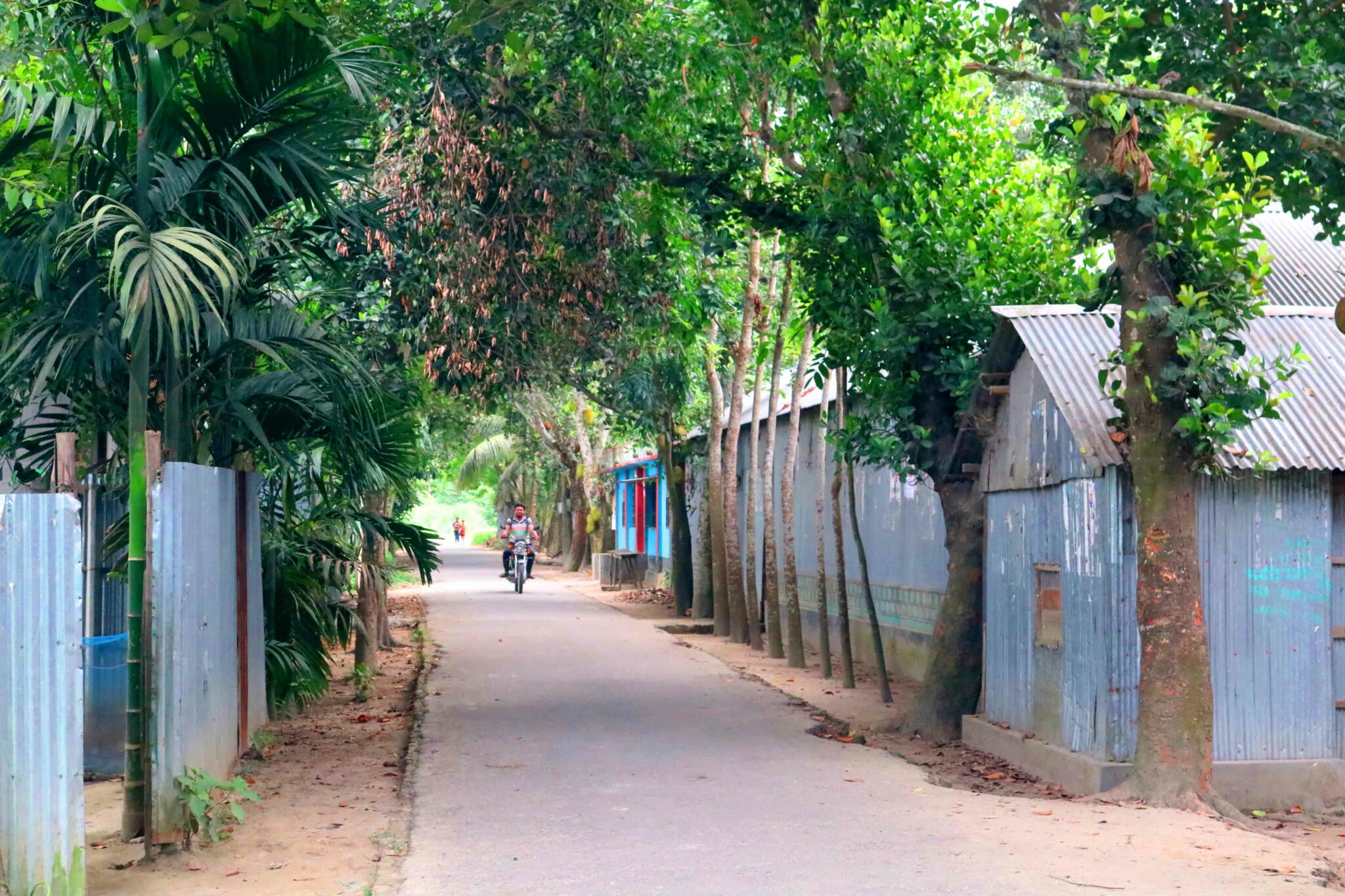 Ghar Tree village people & roads stock photos in Bangladesh - MasterBundles