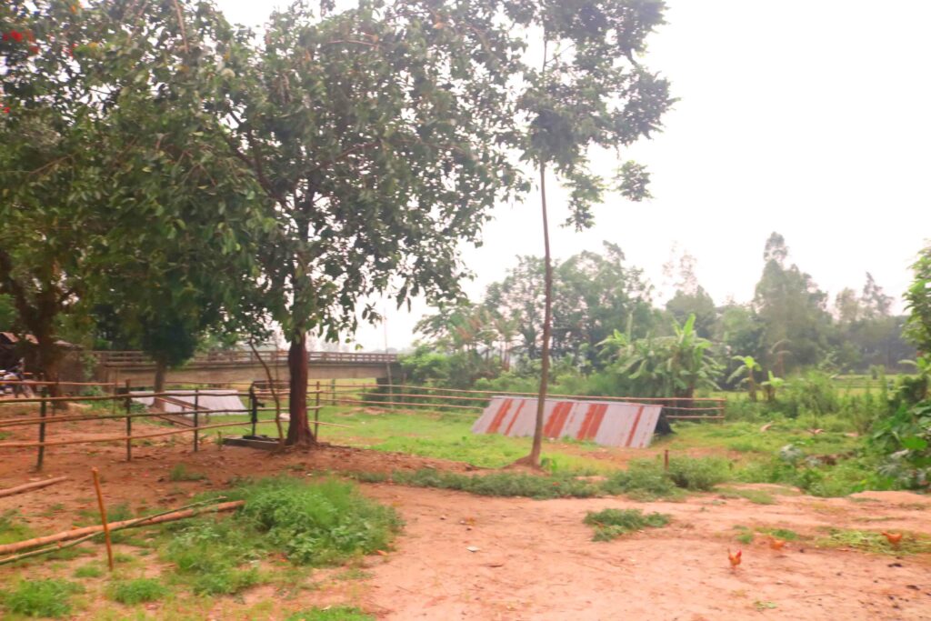 Ghar Tree village people & roads stock photos in Bangladesh - MasterBundles