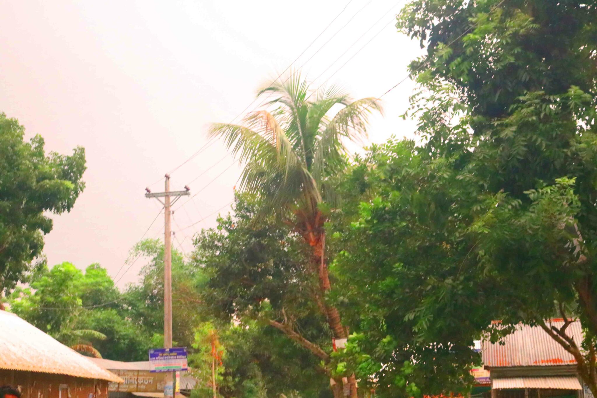 Ghar Tree village people & roads stock photos in Bangladesh - MasterBundles