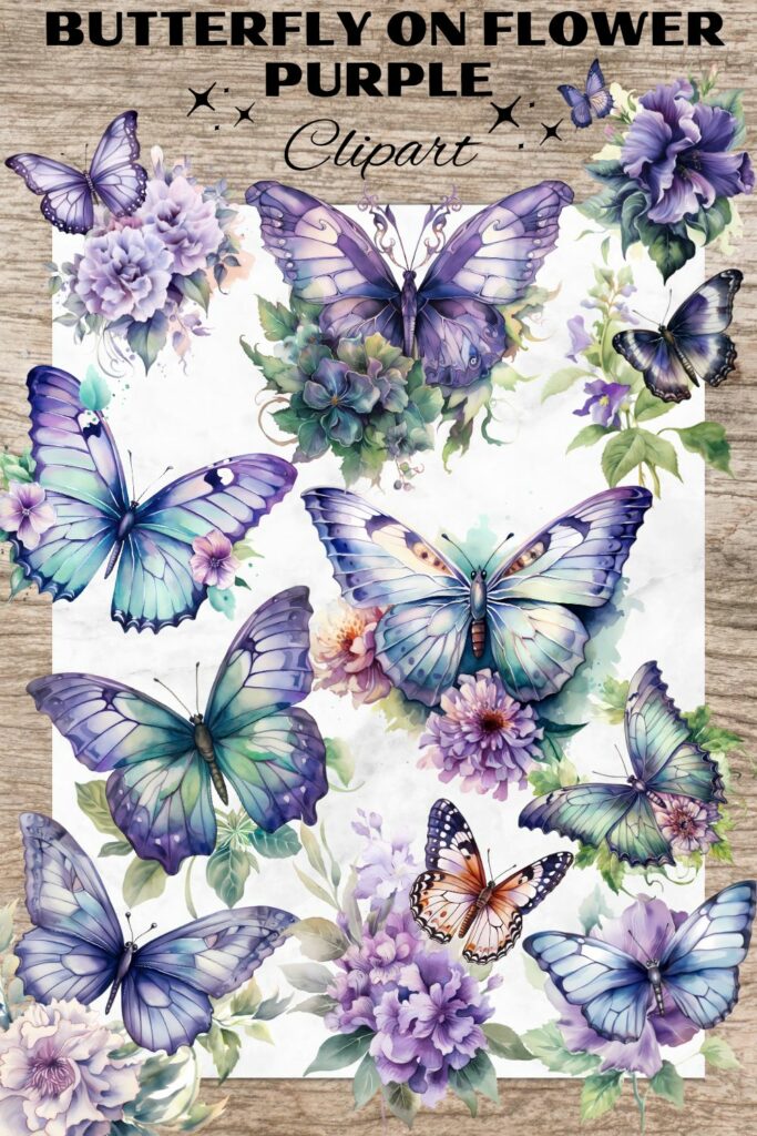16 Butterfly On Flower PNG, Purple Colours, Butterfly Watercolor ...