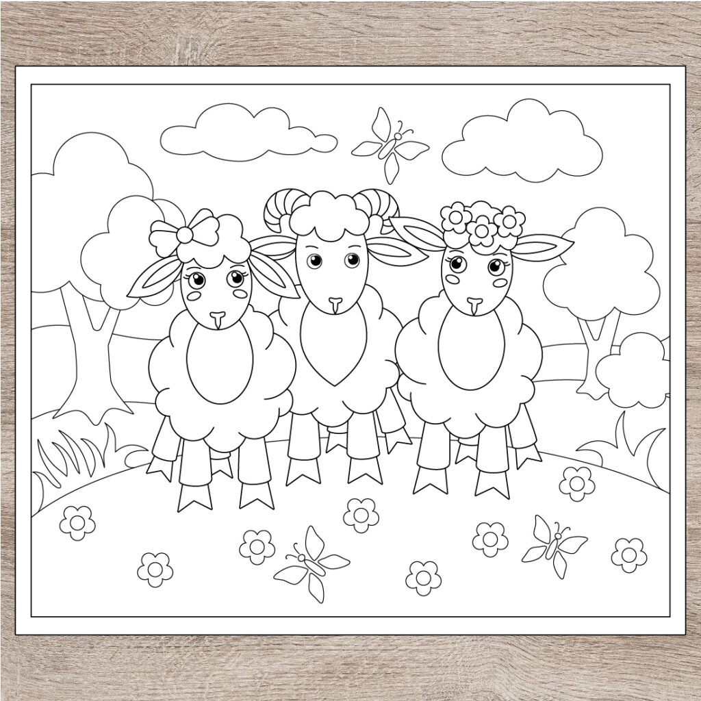 Cute Sheep in the pasture - coloring book for children - MasterBundles