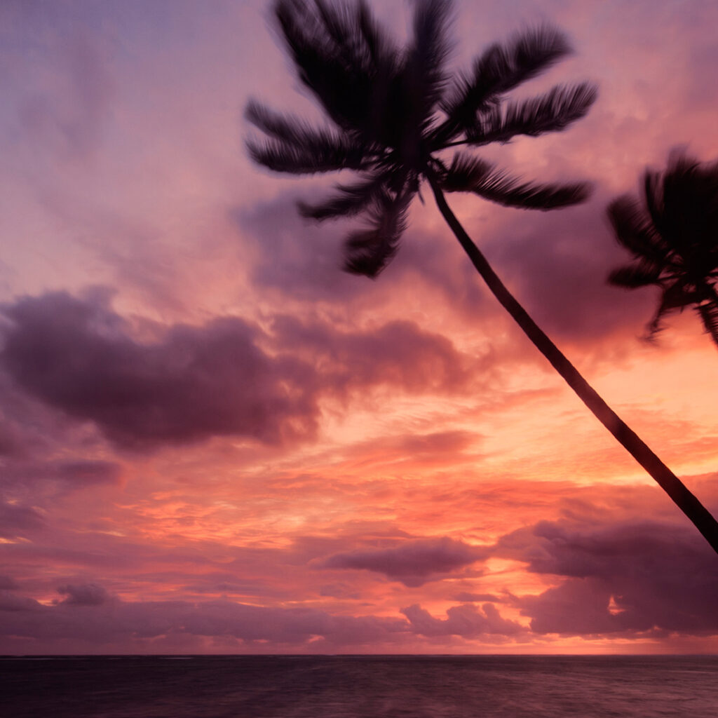 200+4k Desktop Wall Papers Bundle Free Download - MasterBundles