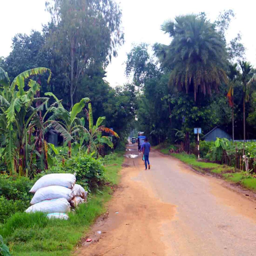 Tree Ghar village people & roads stock photos in Bangladesh - MasterBundles