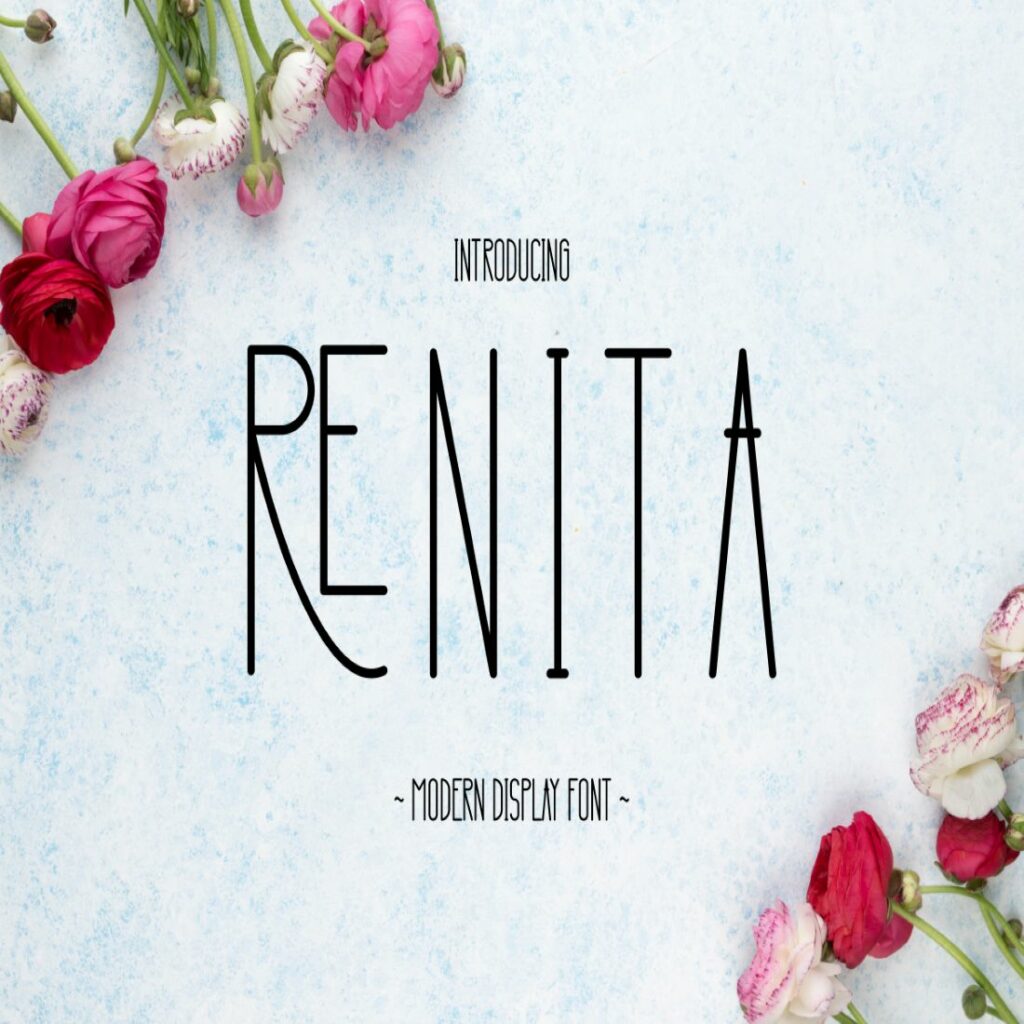 Renita - Modern Display Font - MasterBundles